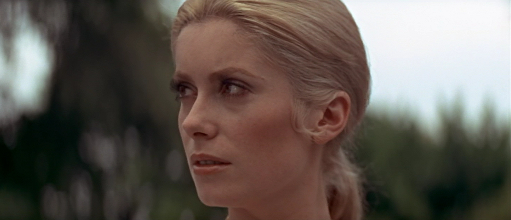 The April Fools picture