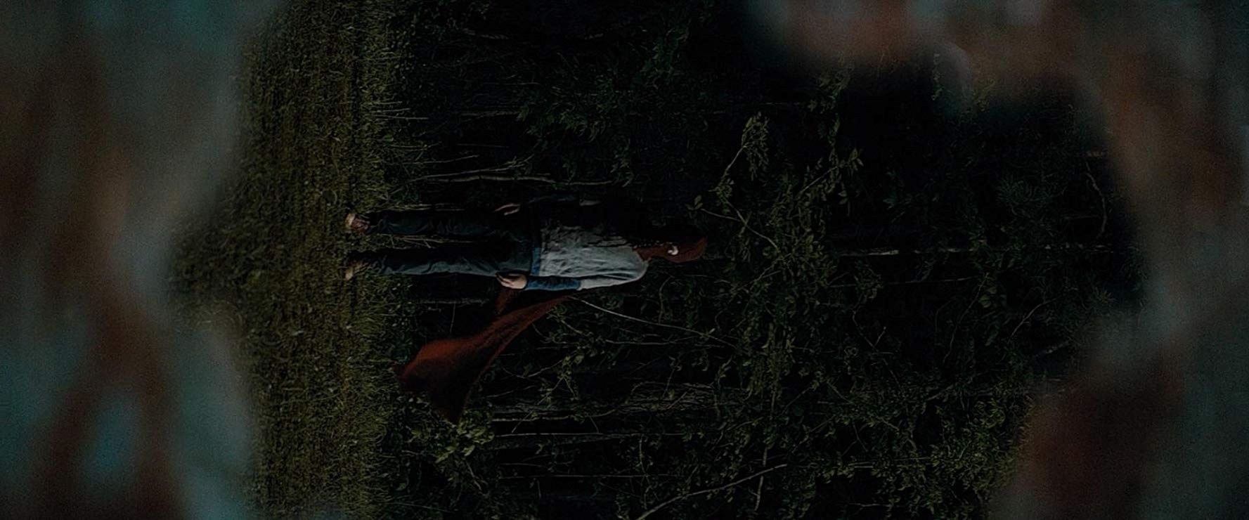 Picture of Brightburn