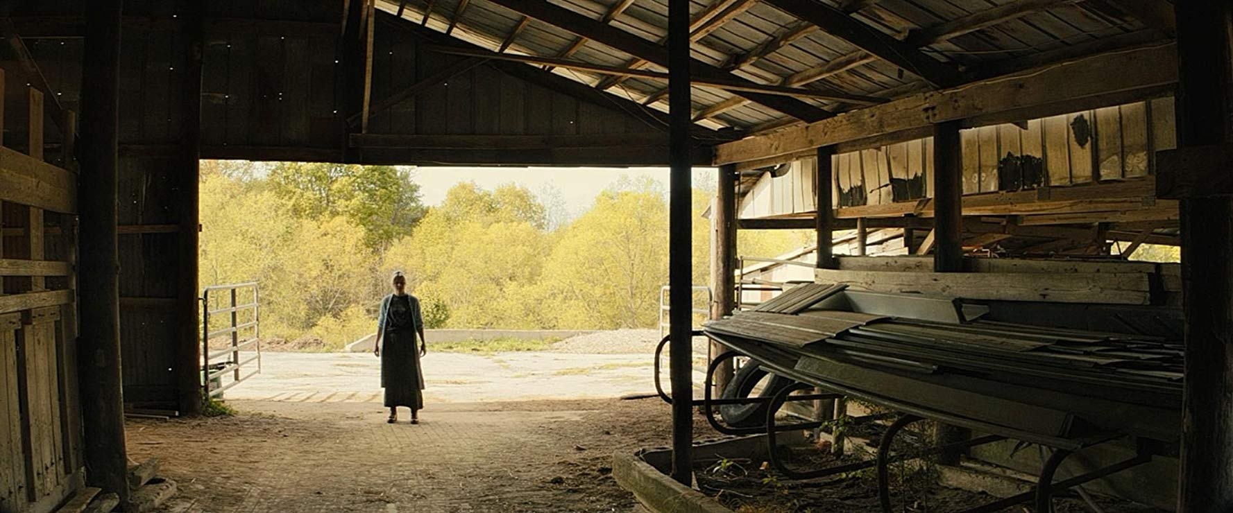 Picture of Brightburn