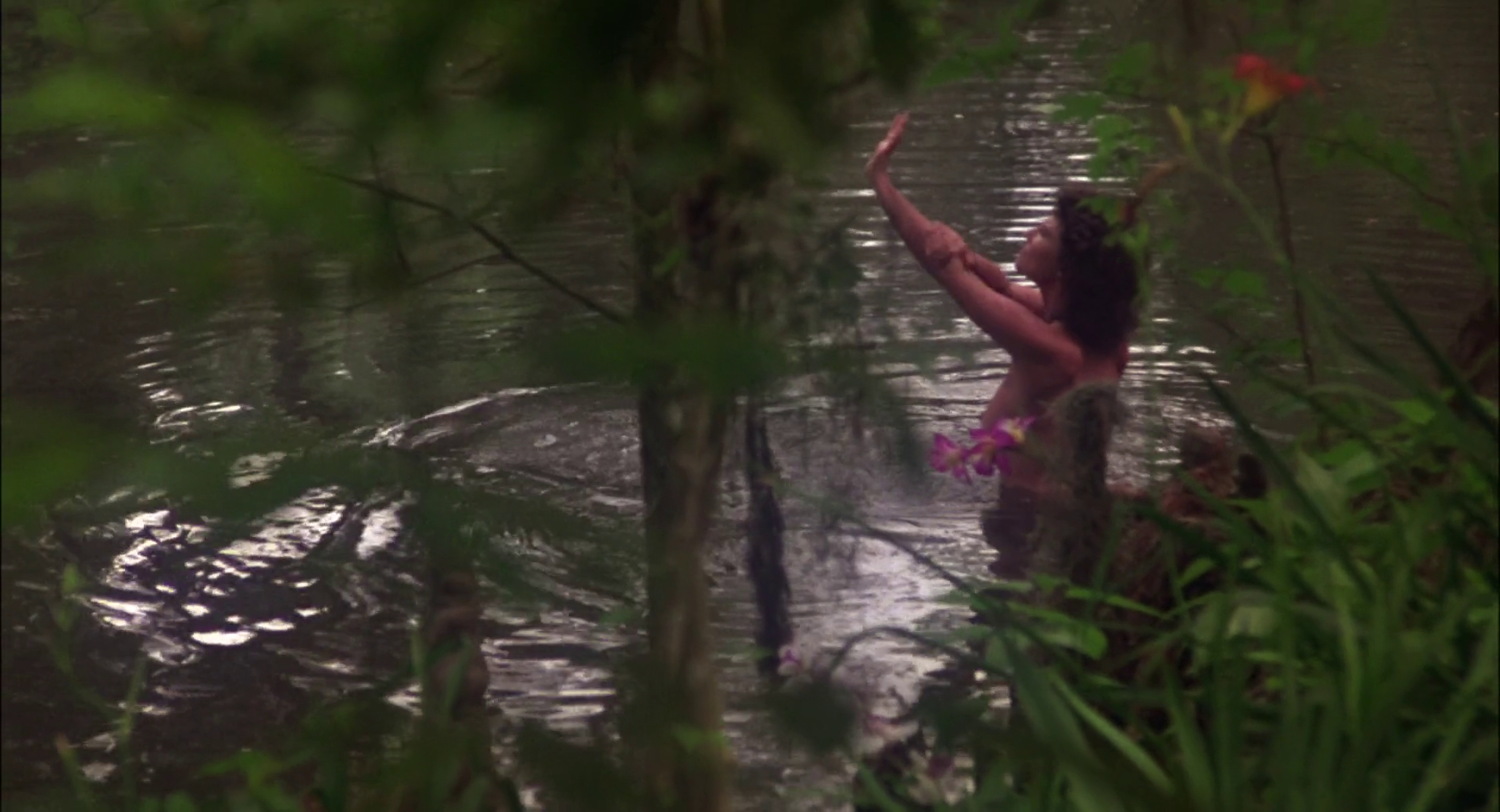 Picture of Swamp Thing