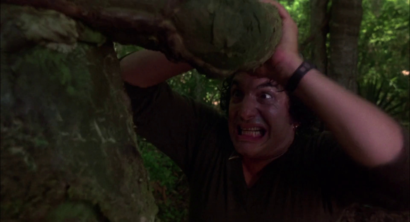 Picture of Swamp Thing