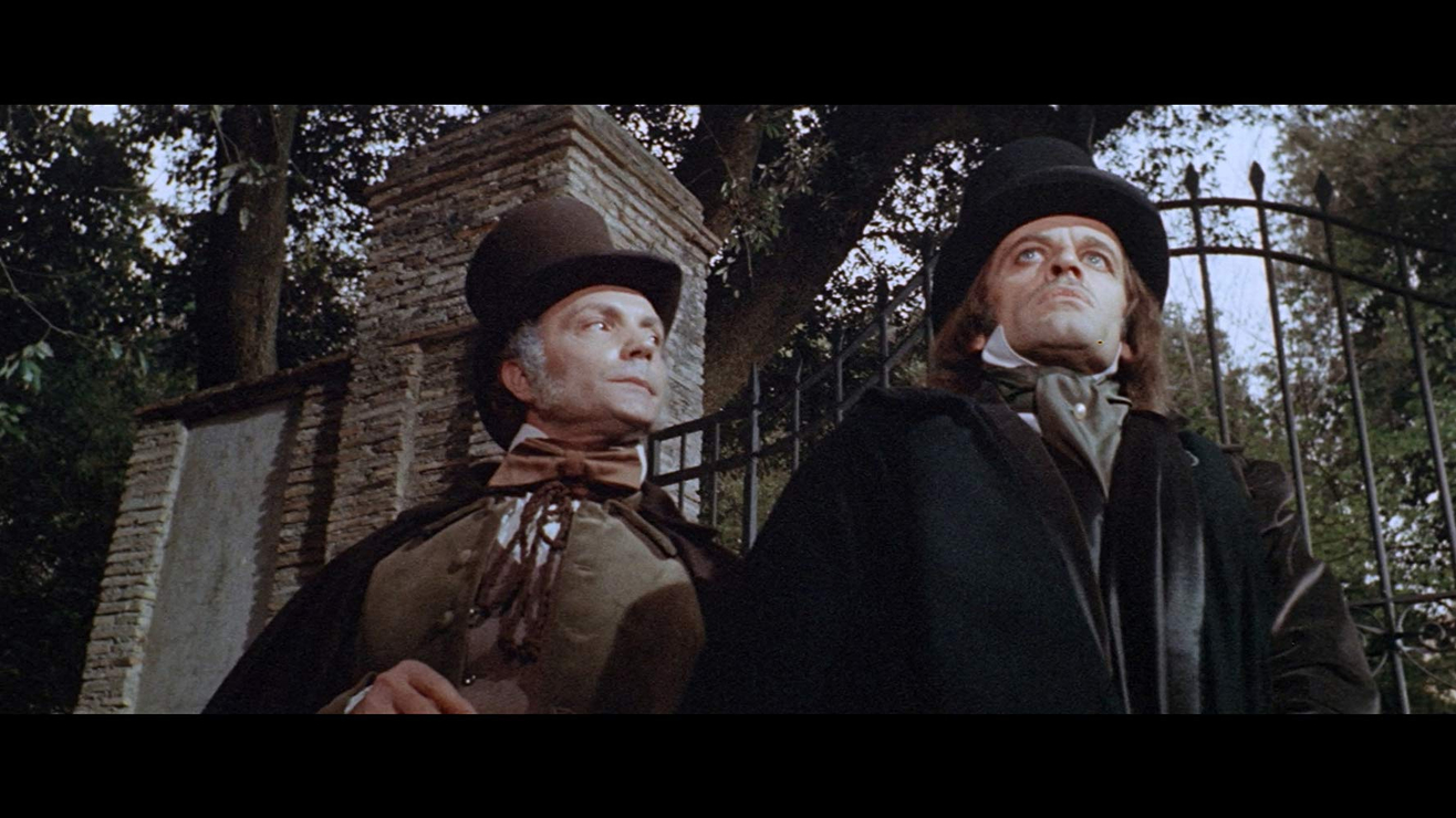 Picture of Web of the Spider