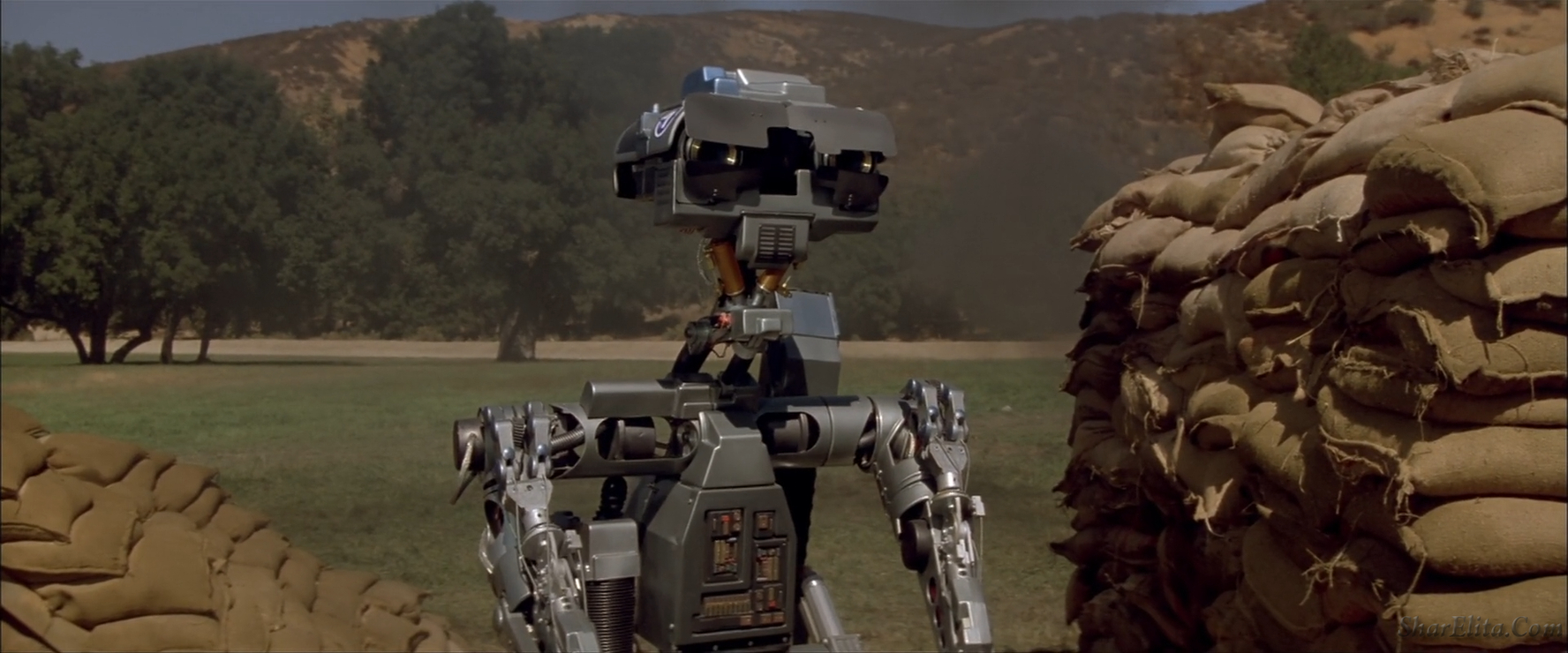 Image of Short Circuit