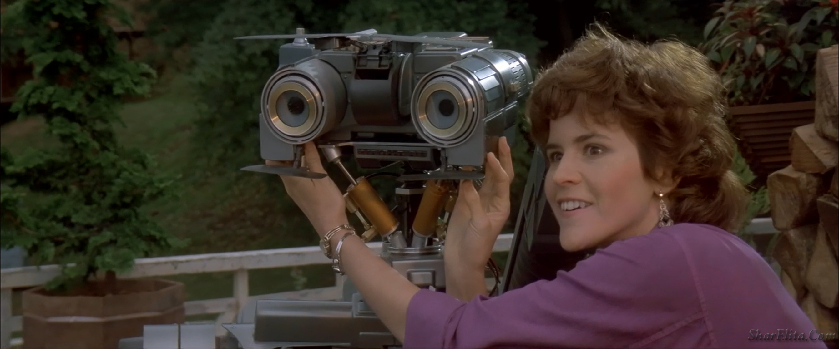 Picture of Short Circuit