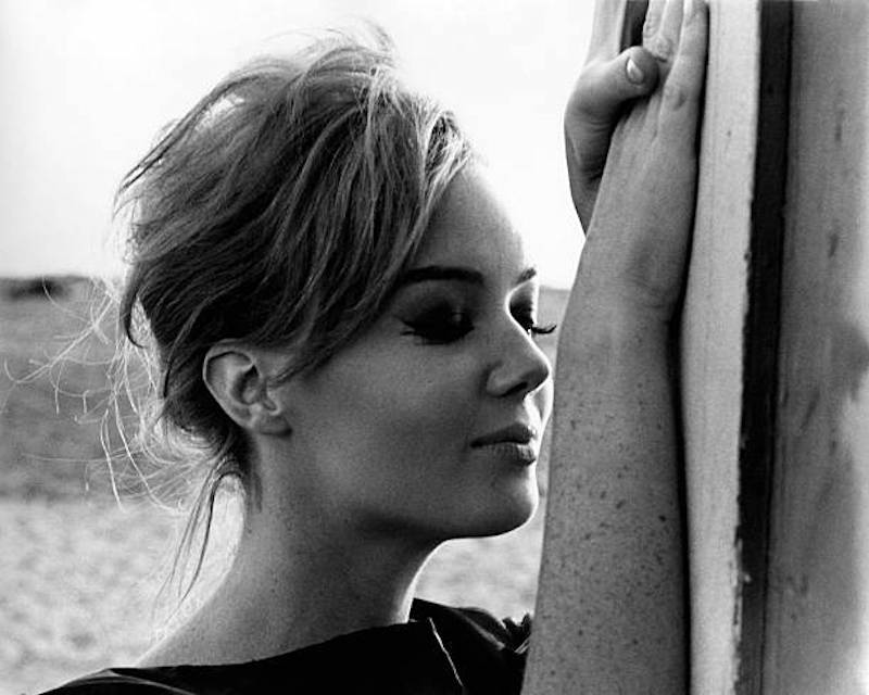 Picture of Edy Vessel