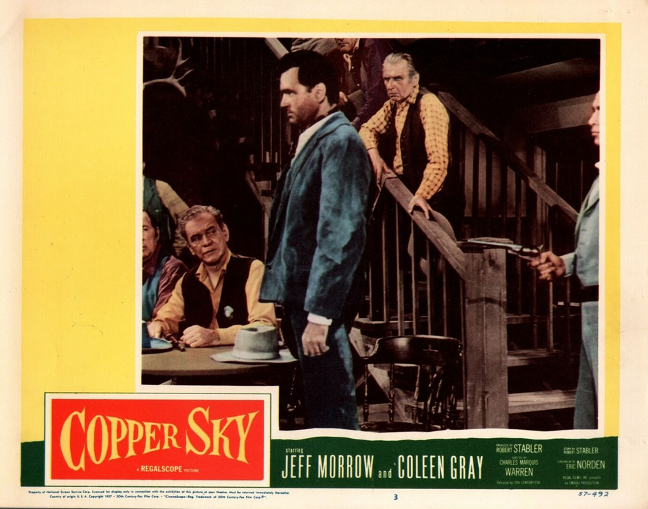 Picture of Copper Sky