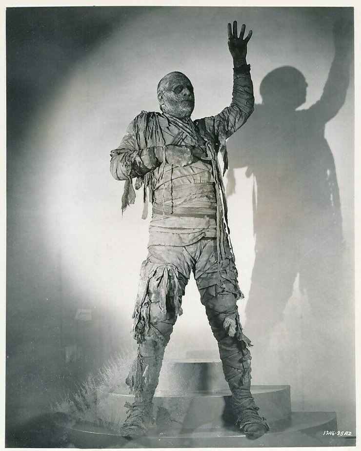 Picture of The Mummy's Tomb