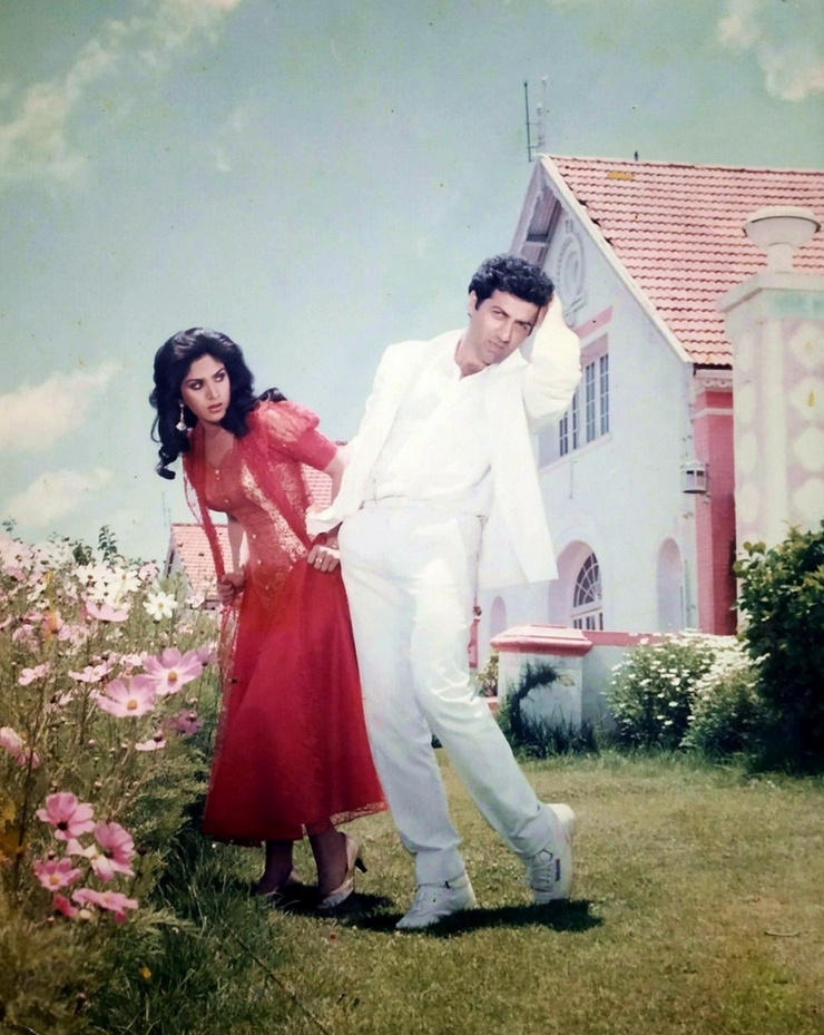 Picture of Meenakshi Sheshadri