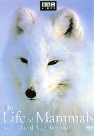 The Life of Mammals image