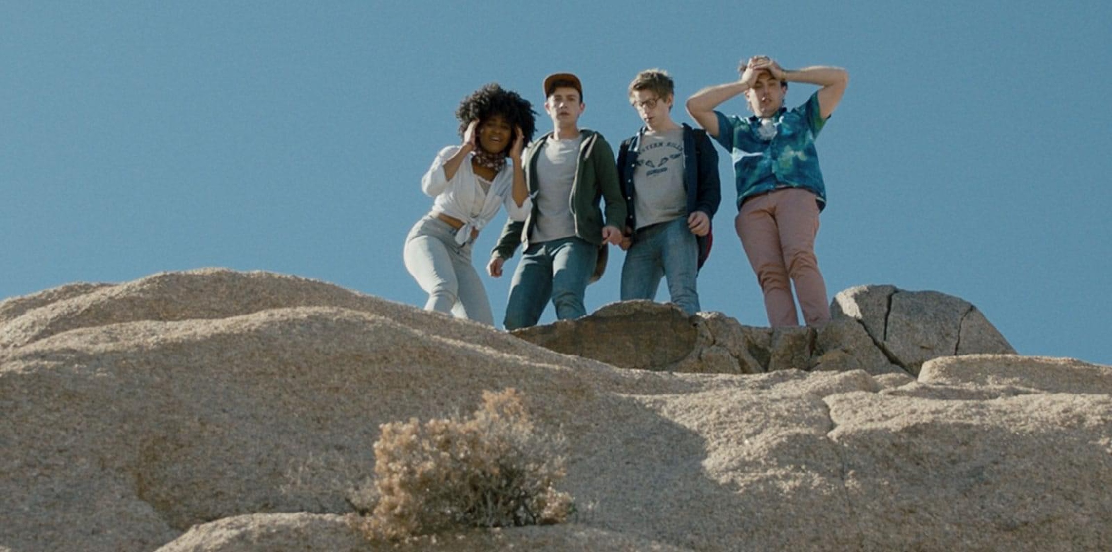 Picture of Head Count