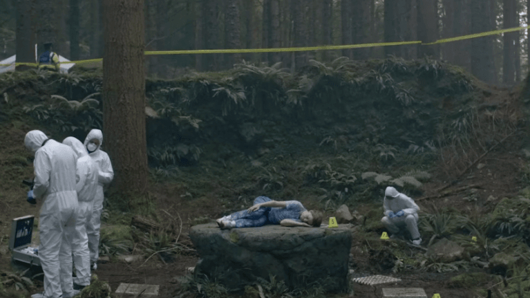 Picture of Dublin Murders