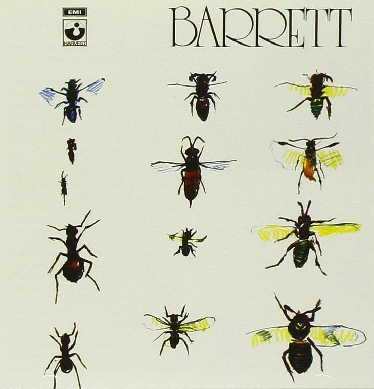 Barrett picture