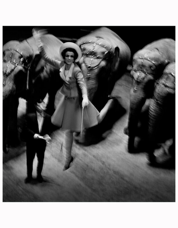 Picture of Donna Mitchell