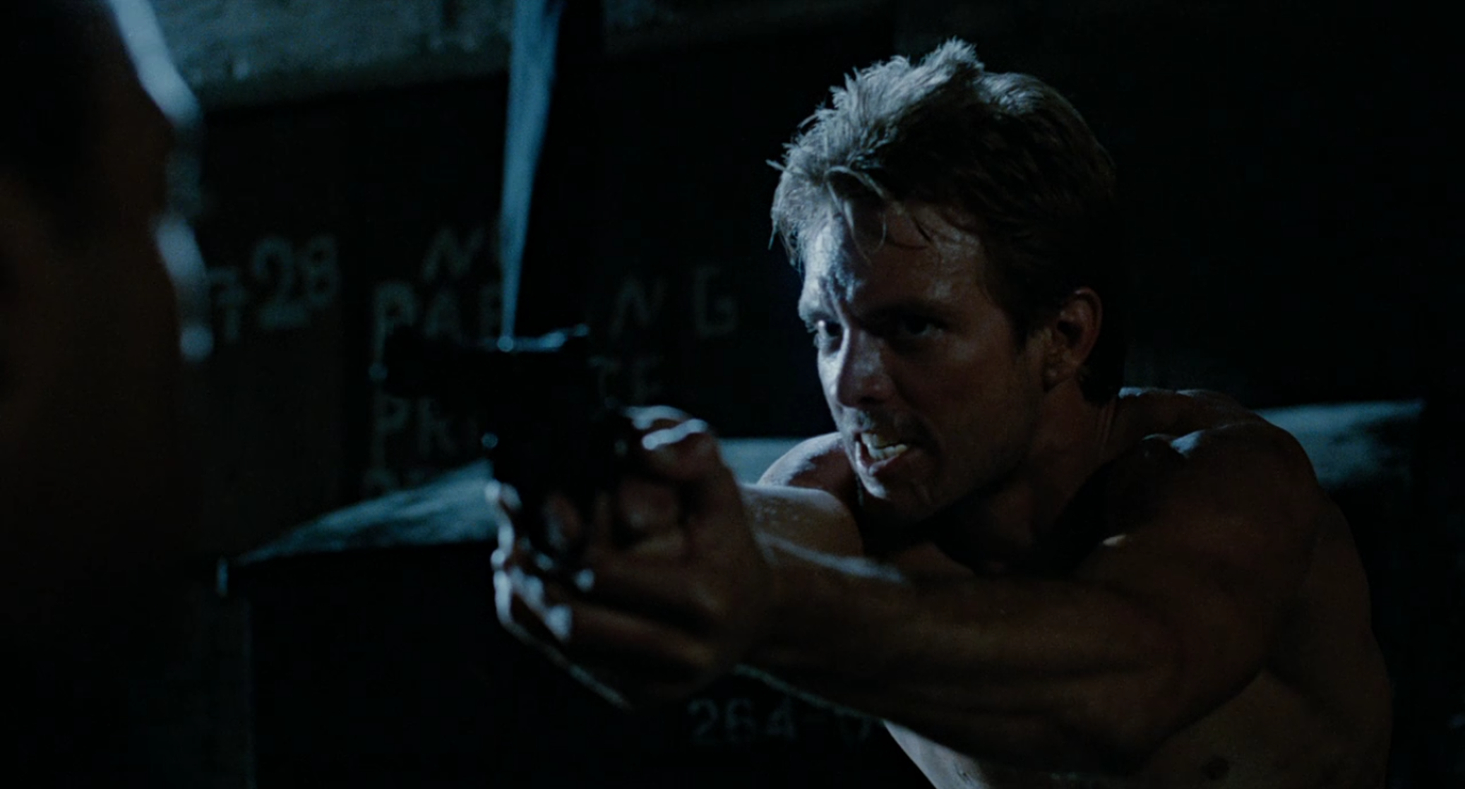 Picture of The Terminator