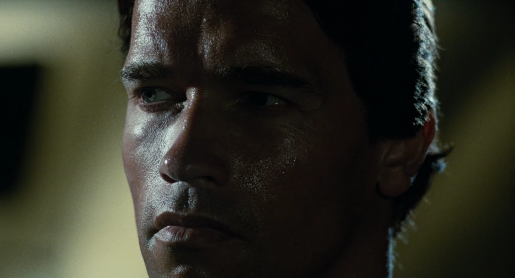 The Terminator (1984) picture