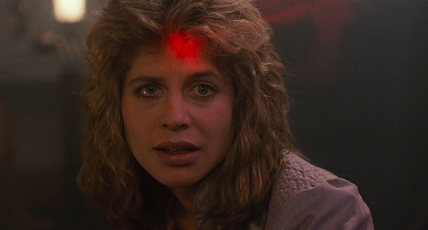 Picture of The Terminator