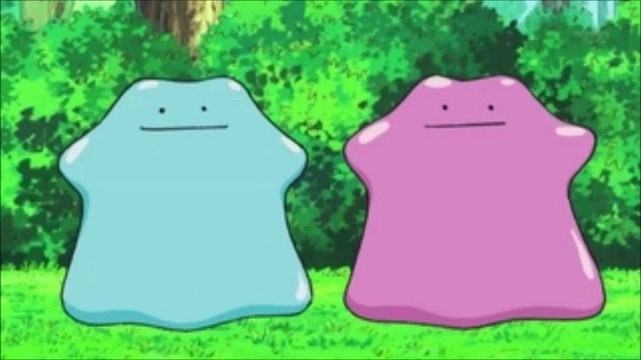 Image of Ditto