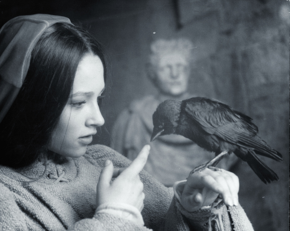 Picture of Olivia Hussey