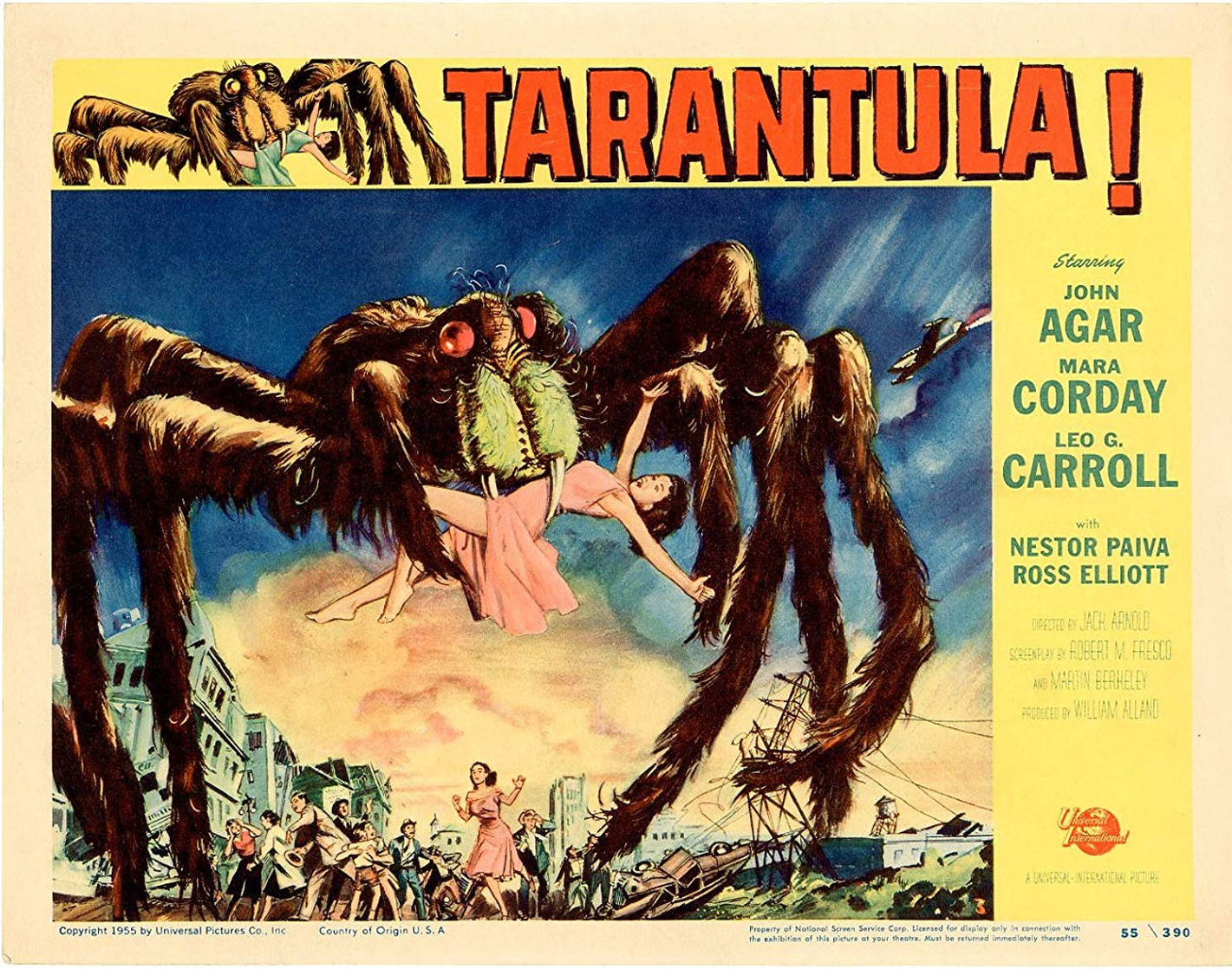 Picture of Tarantula