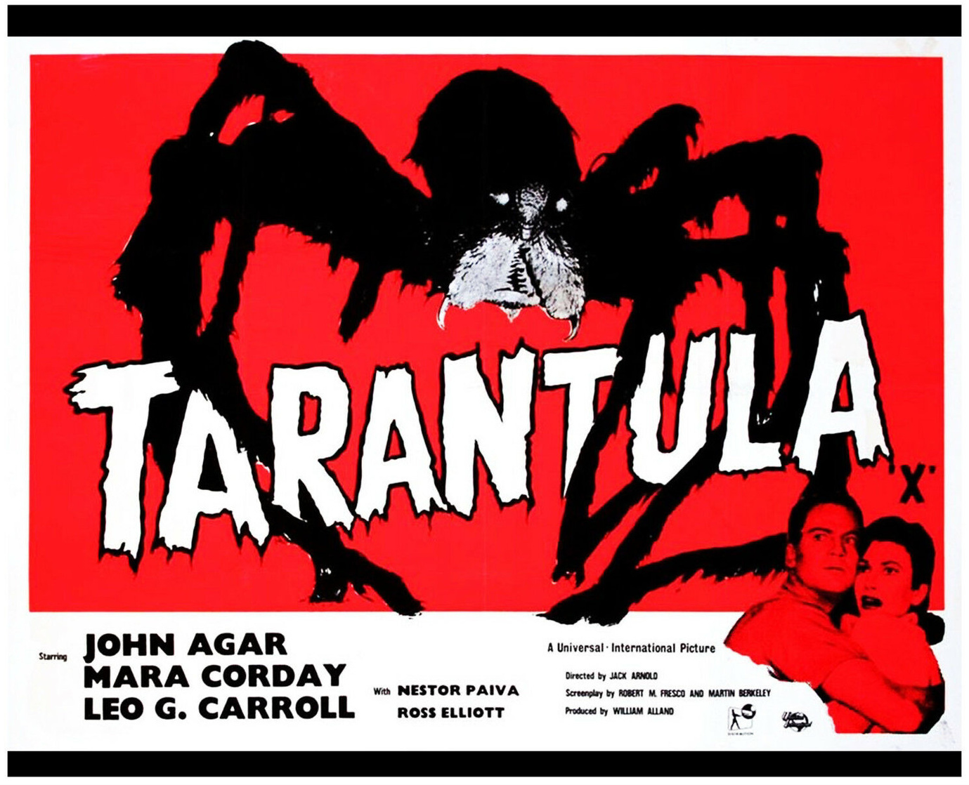 Picture of Tarantula