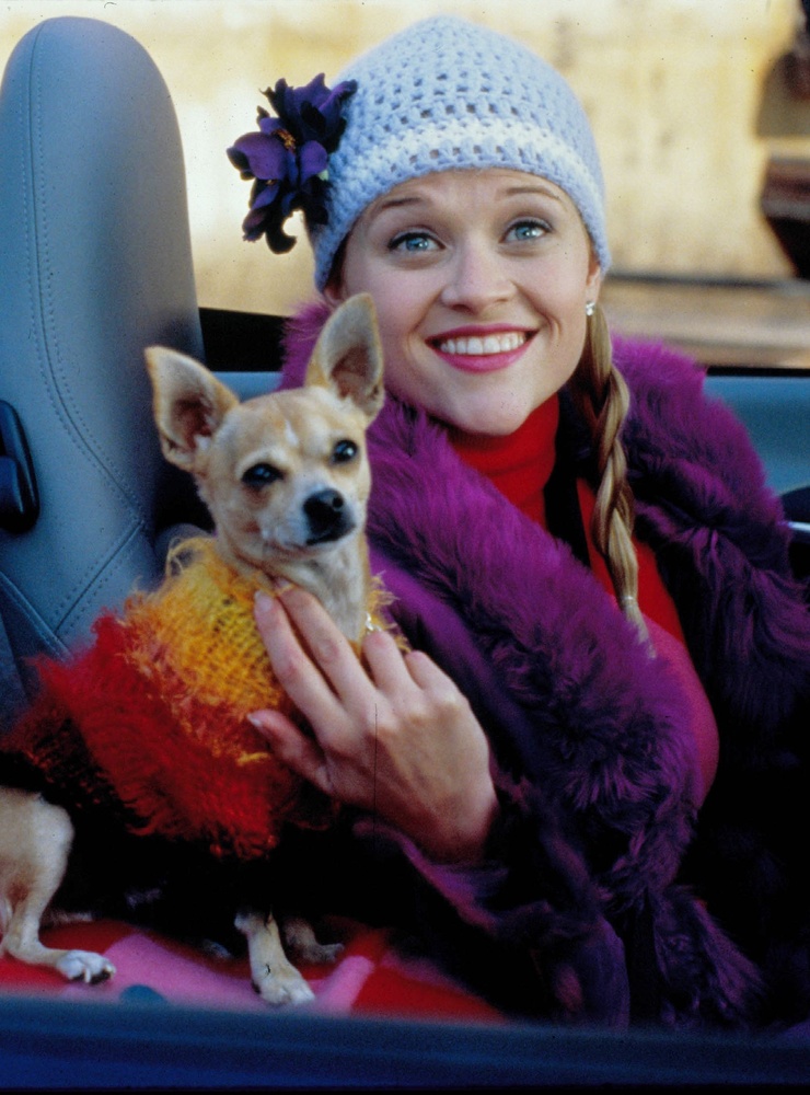 Elle Woods image