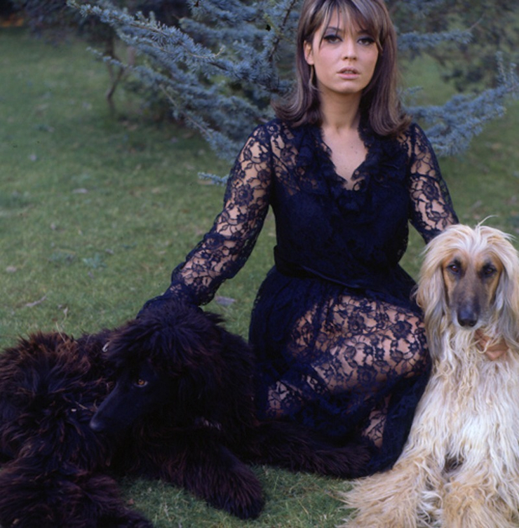 Picture of Alida Chelli