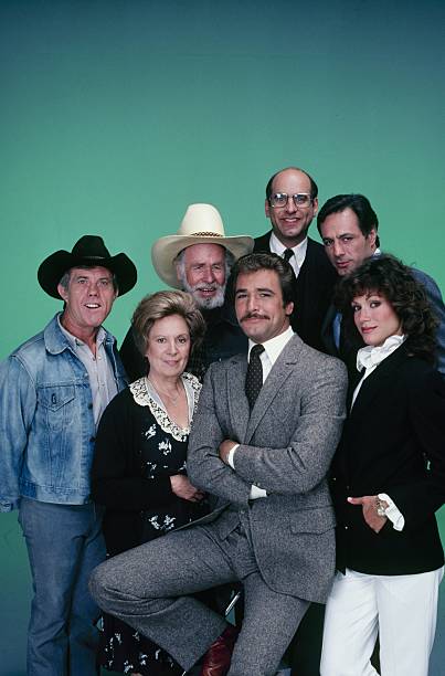 Picture of Matt Houston (1982-1985)