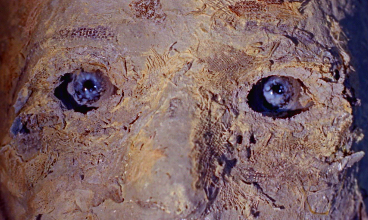 Picture of The Mummy's Shroud