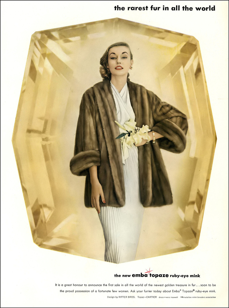 Picture of Liz Pringle