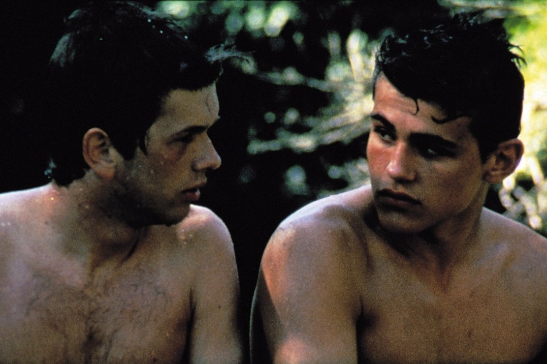 Picture of Wild Reeds