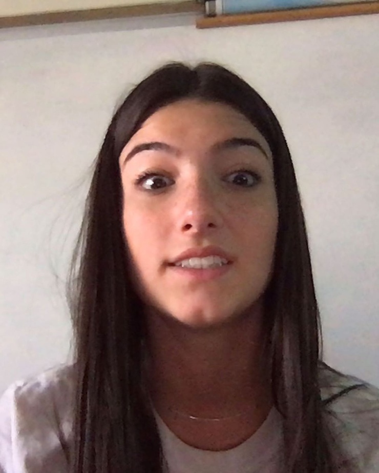 Picture of Charli D'Amelio