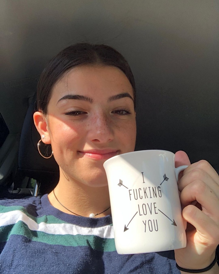 Picture of Charli D'Amelio