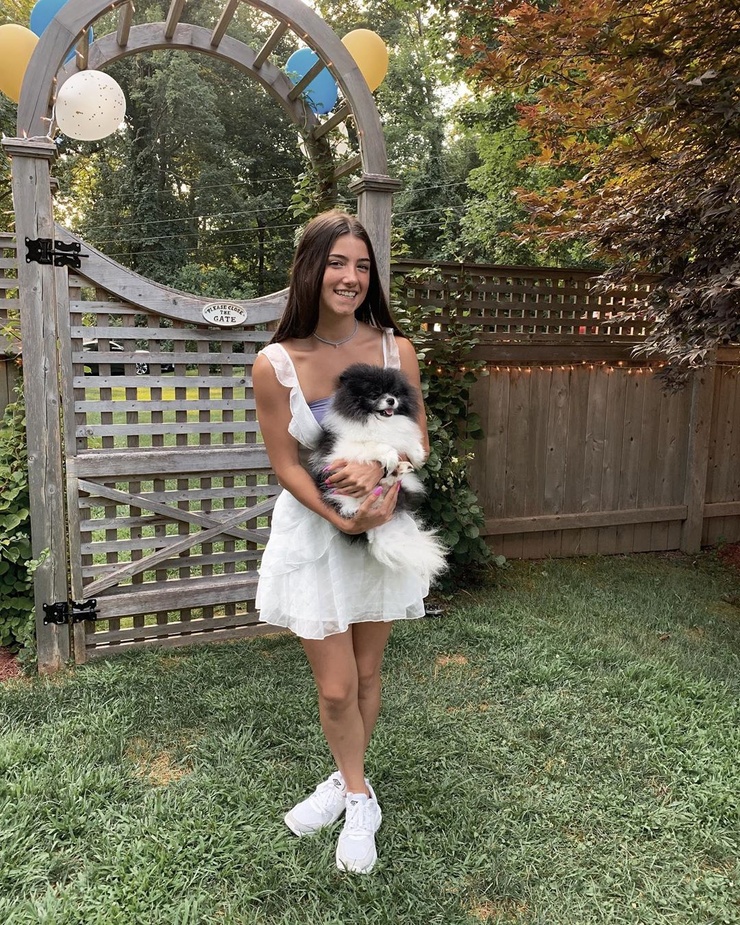 Picture of Charli D'Amelio