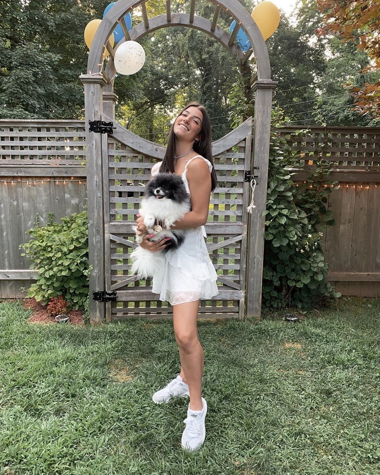 Picture of Charli D'Amelio