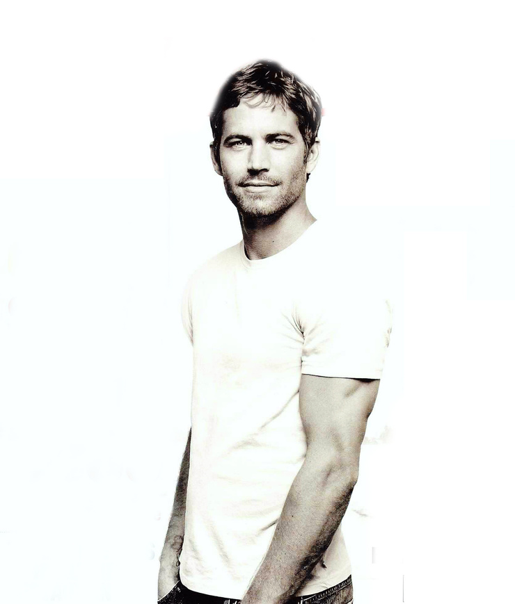 Picture of Paul Walker