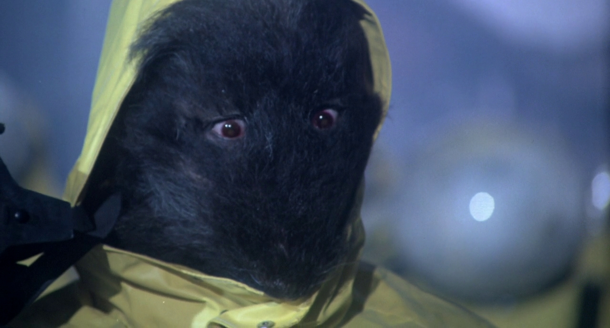 Picture of Rats: Night of Terror