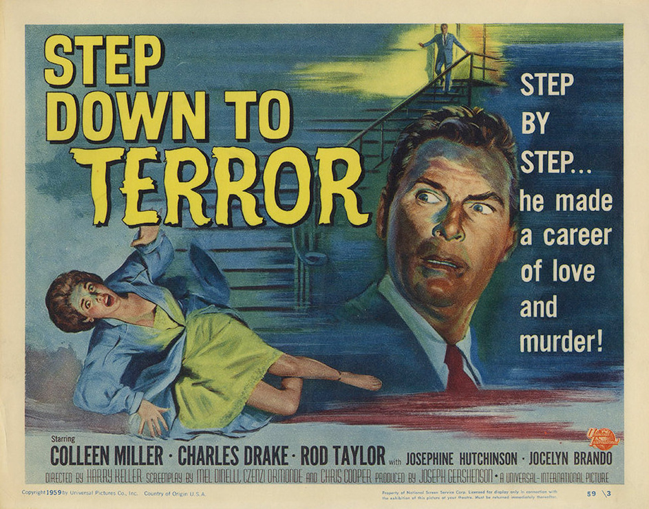 Image of Step Down to Terror