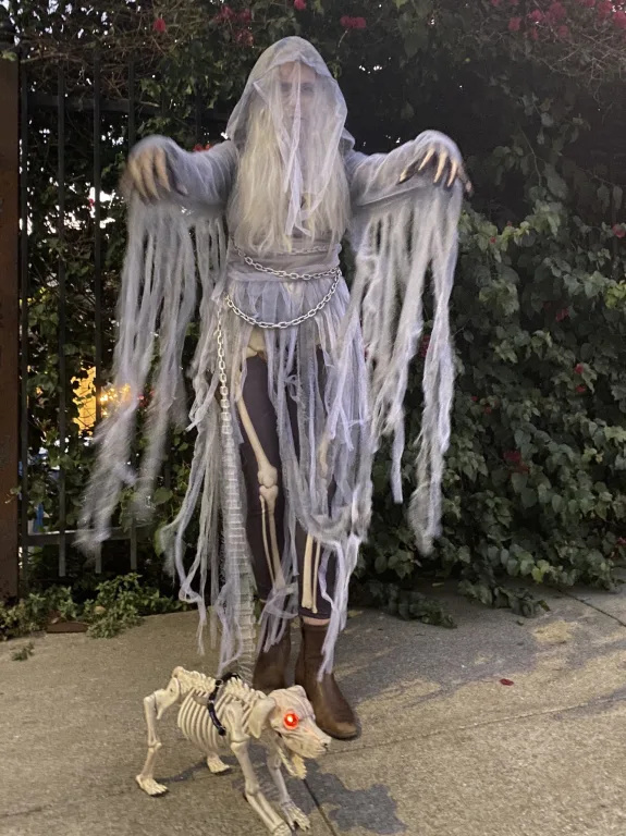 Picture of Adult Haunting Beauty Ghost Costume | Party City