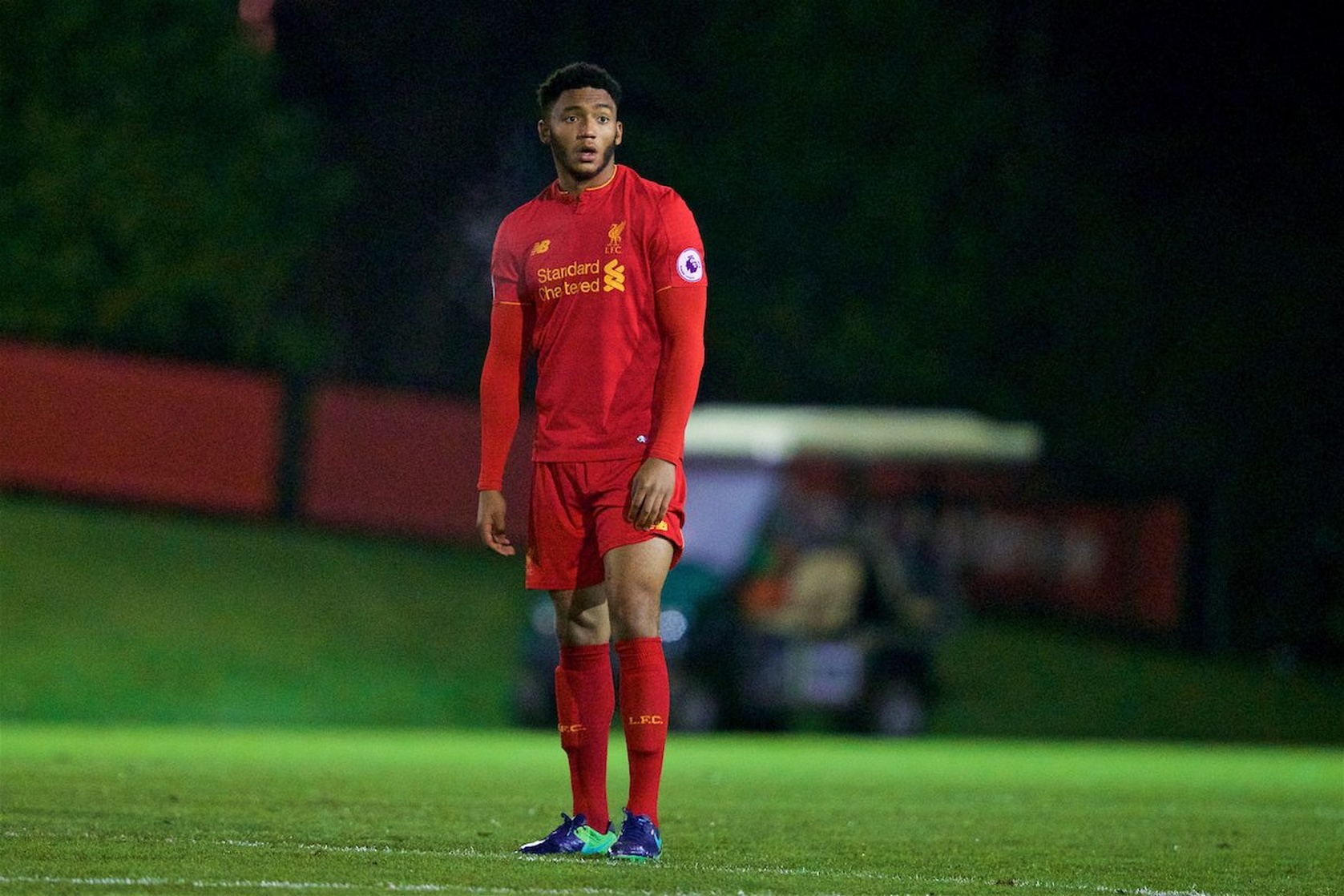 Joe Gomez (footballer) image