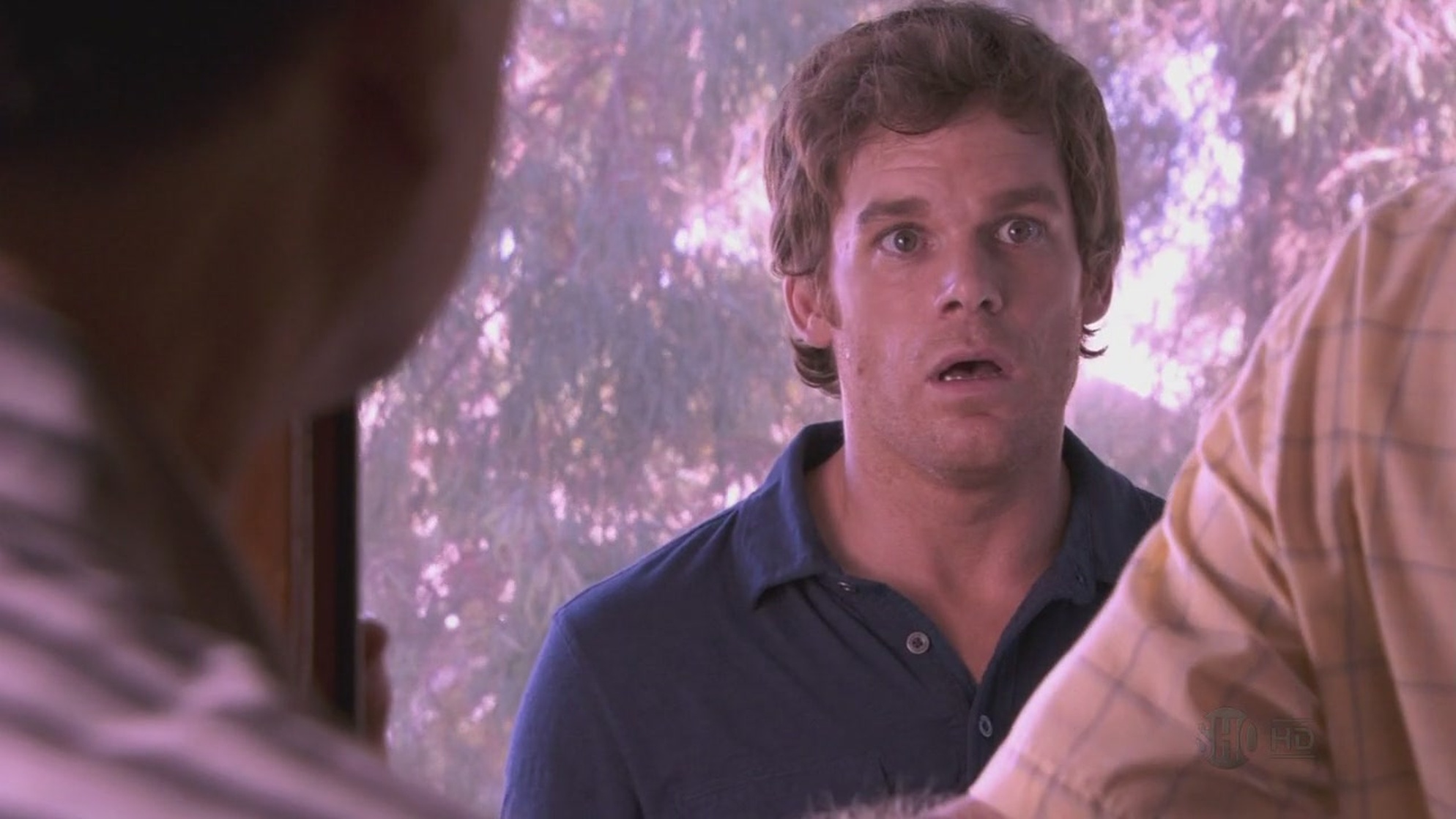 Picture of Dexter