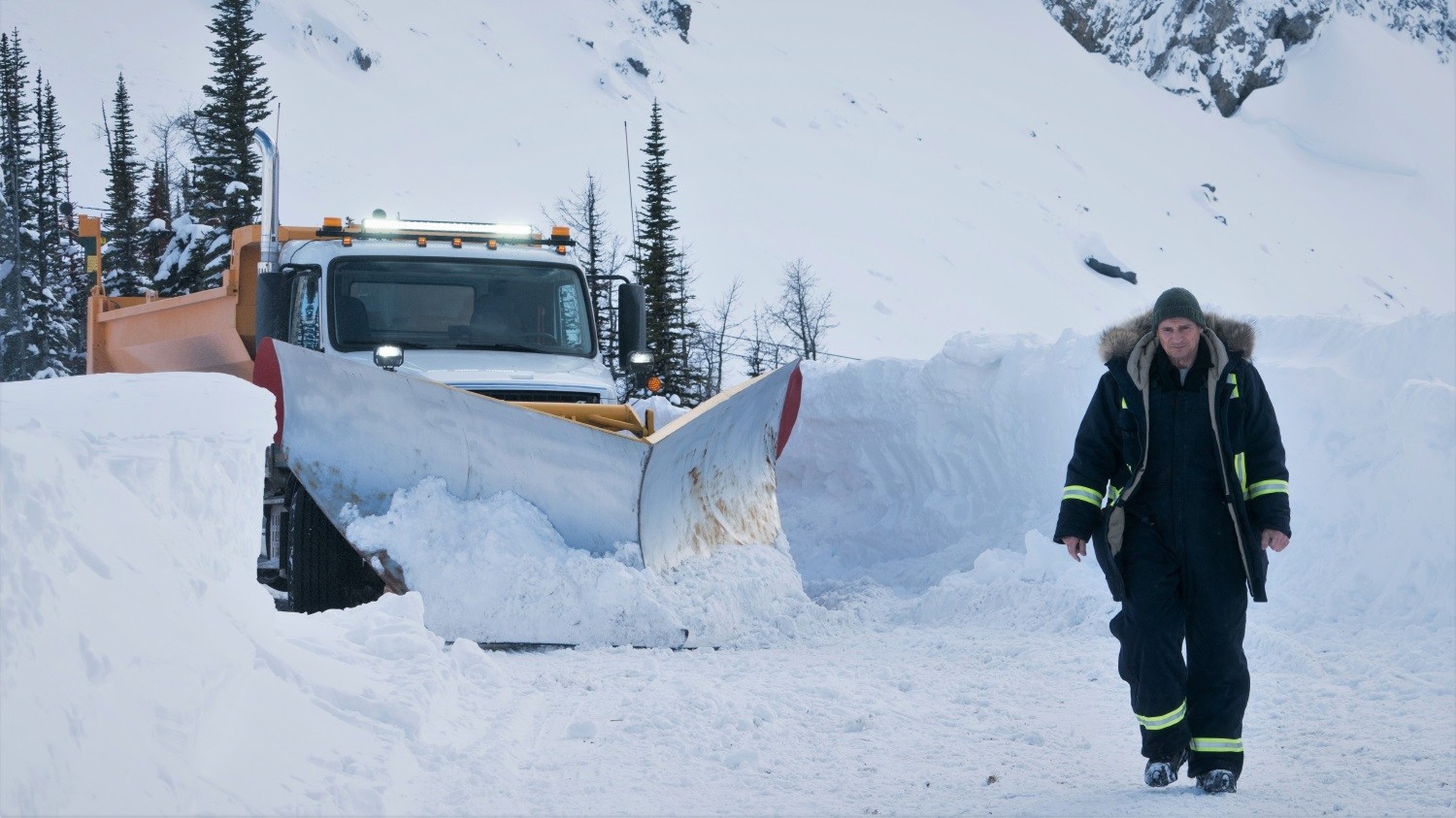 Picture of Cold Pursuit