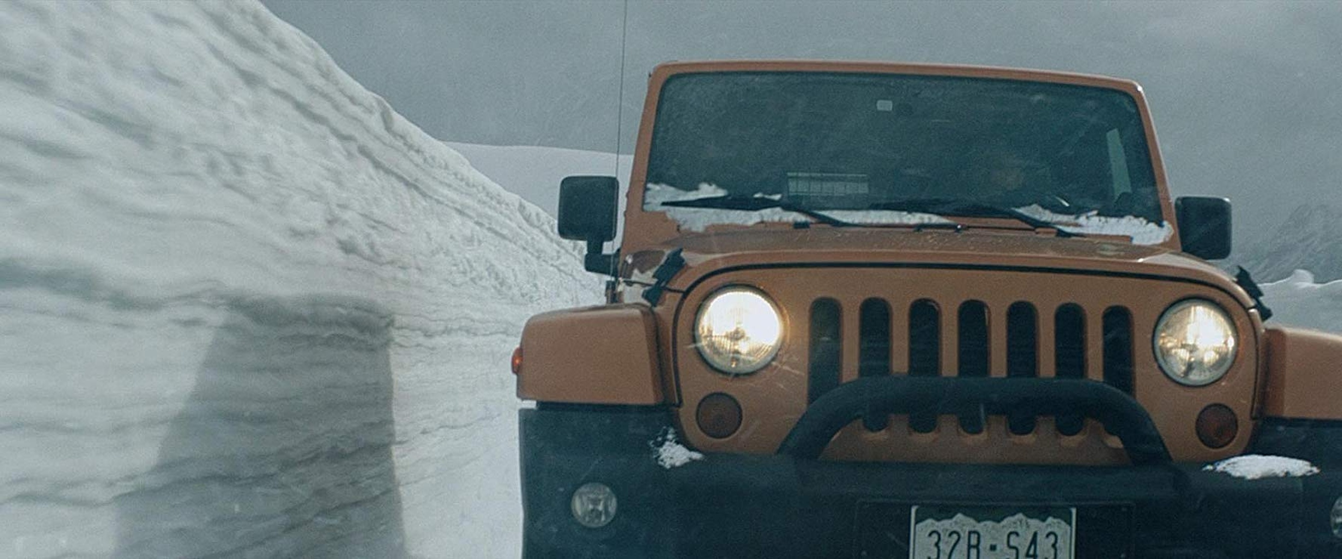 Picture of Cold Pursuit