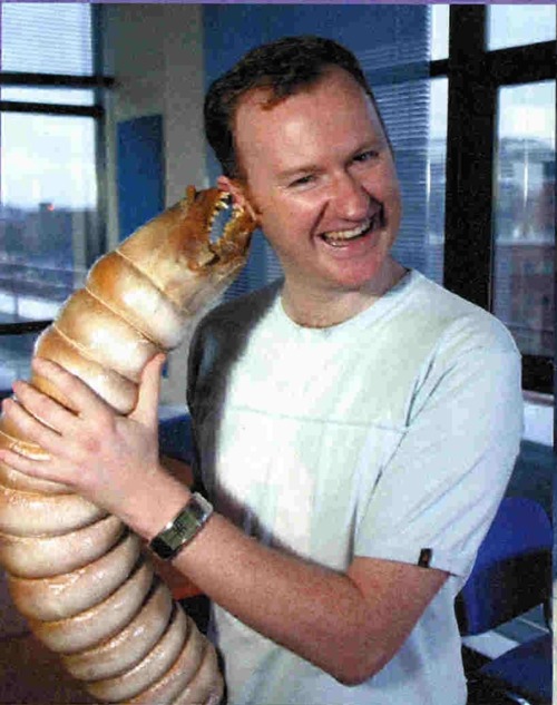 Picture of Mark Gatiss