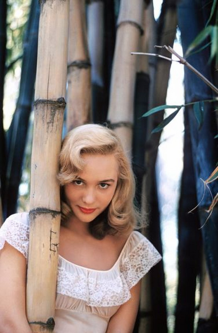 Picture of Joan Staley