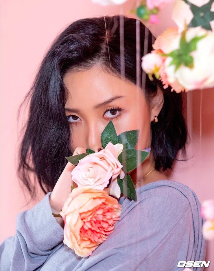 Picture of Hwasa