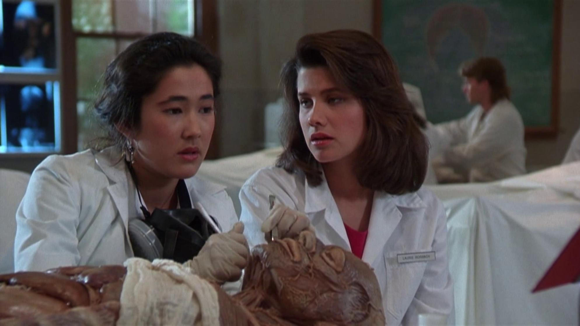 Picture of Gross Anatomy