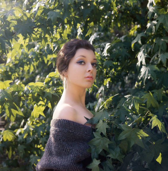 Picture of Victoria Valentino(II)