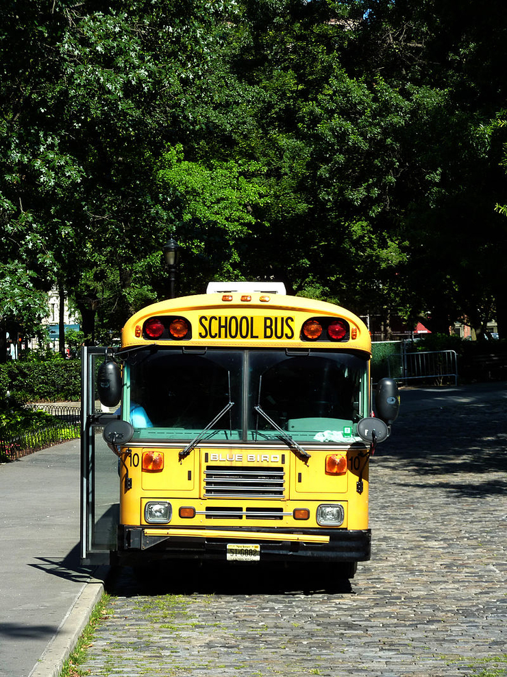 Picture of Blue Bird TC/2000