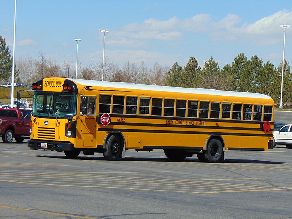 Picture of Blue Bird All American