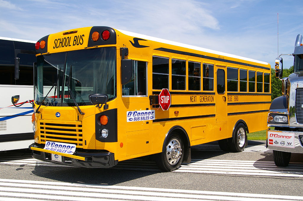 Picture of Blue Bird All American
